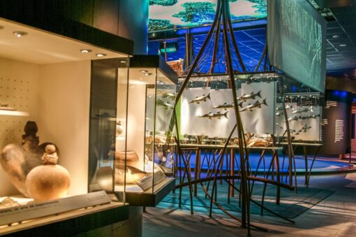 Santiago's Centro León: A Must-Visit Cultural Center Museum For ...