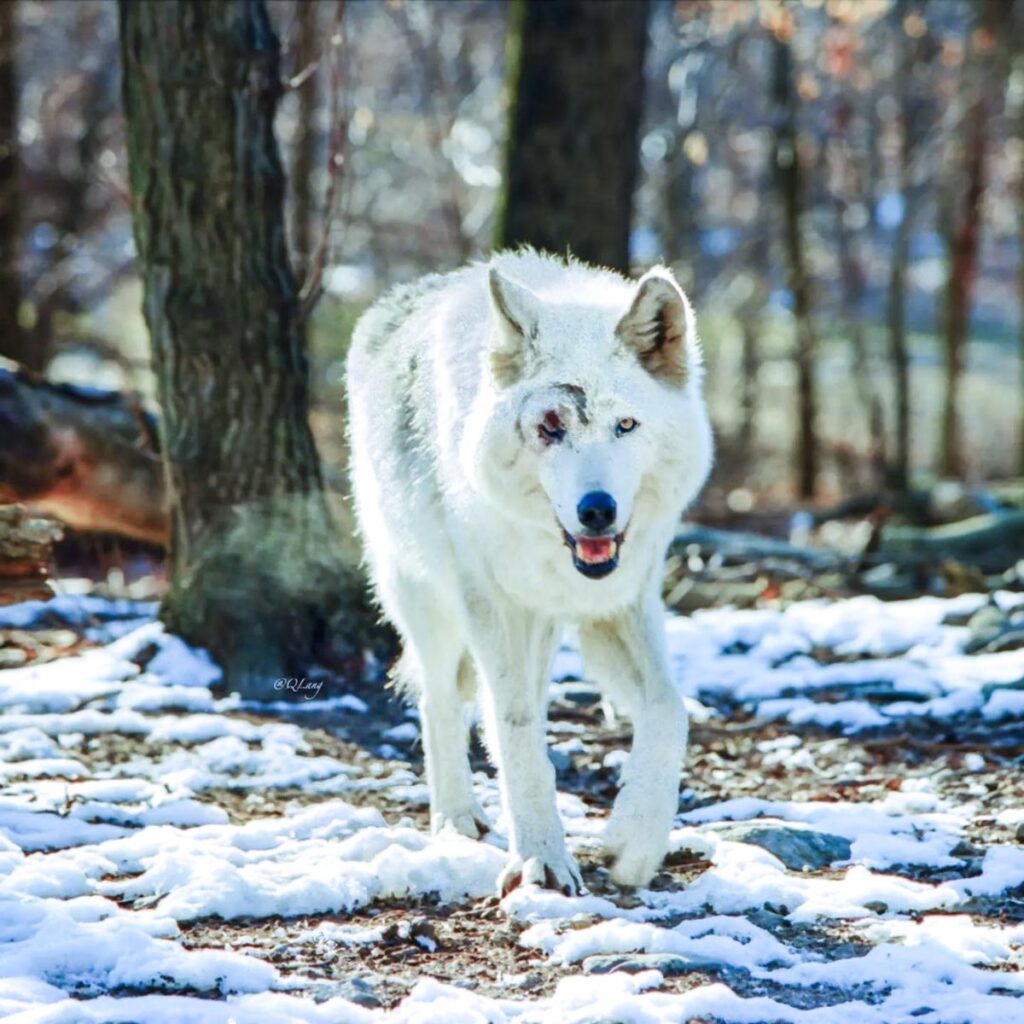 27 Fun & Easy Winter Day Trips from NYC