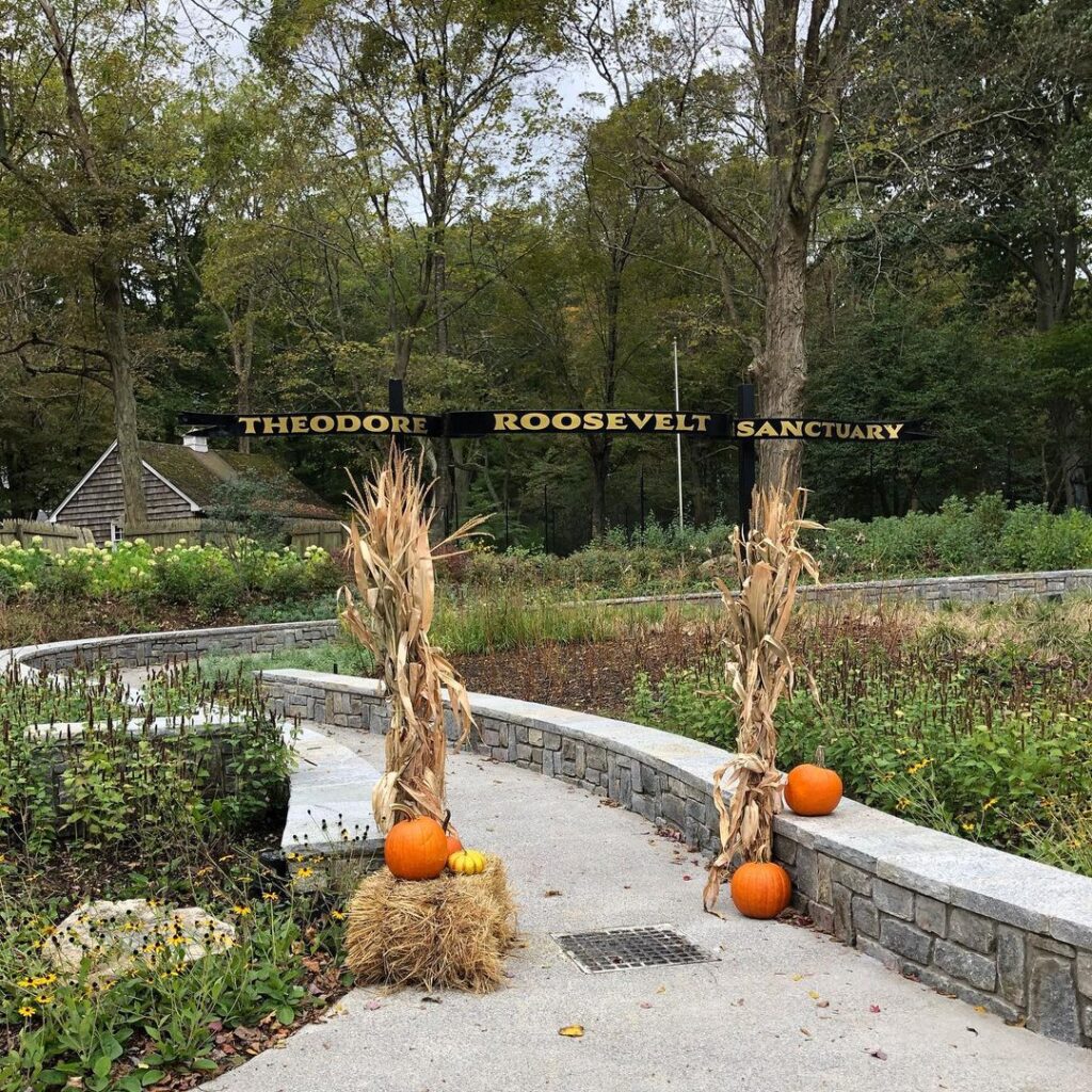 Fun & Unique Things to Do in Oyster Bay, Long Island